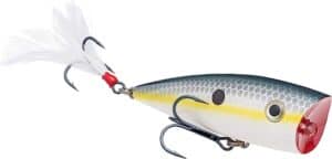 These Topwater Tricks Will Make Bass Explode—Literally